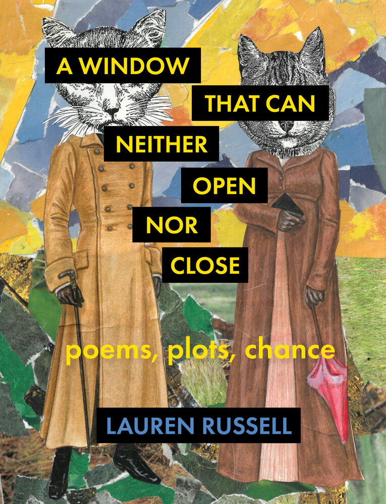 A Window That Can Neither Open nor Close | Milkweed Editions