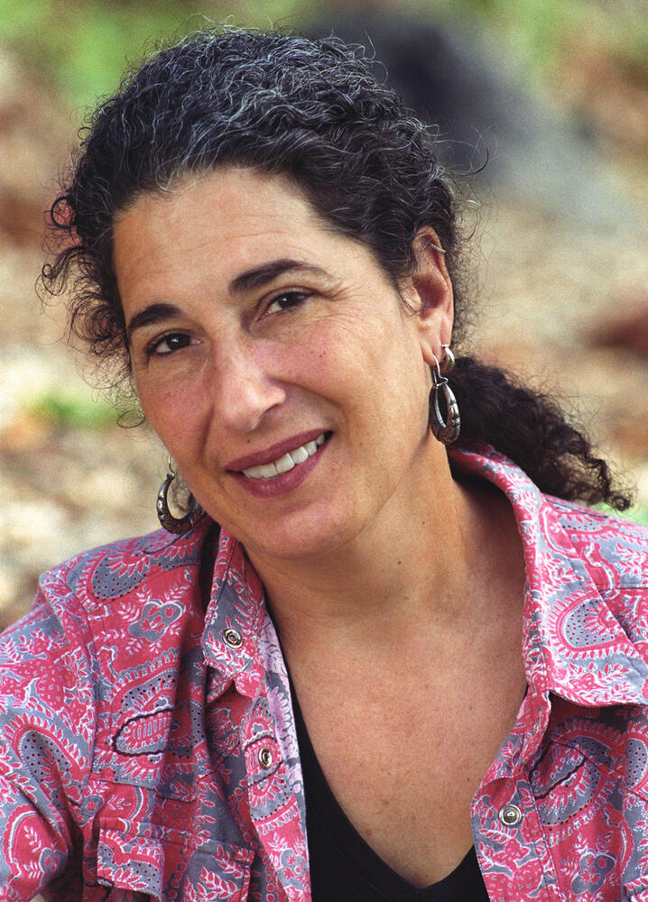 Danielle Sosin | Milkweed Editions