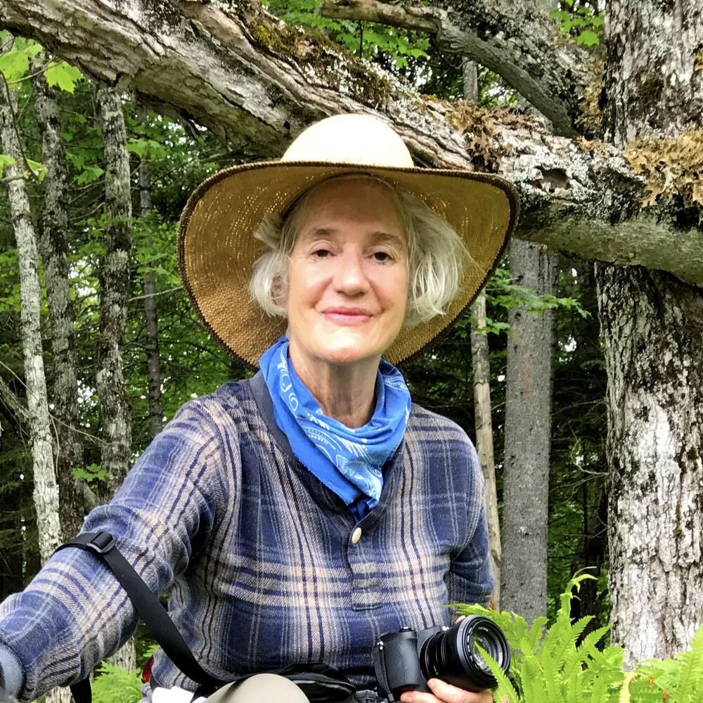 Susan O’Connor | Milkweed Editions