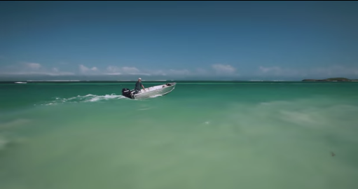 Tim Winton's Island Home: A Call to Arms | Milkweed Editions