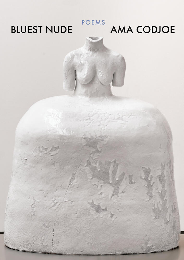 In Person: Ama Codjoe appearing at The Guggenheim Museum | Milkweed ...